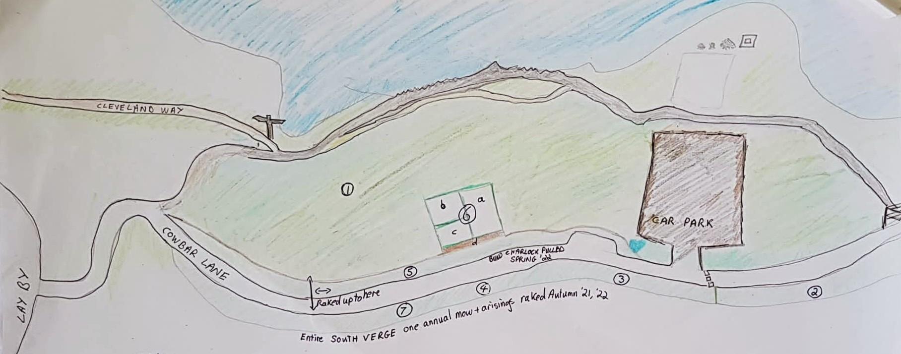 An end of year summary of Cowbar raking and sowing. - Cowbar Nature