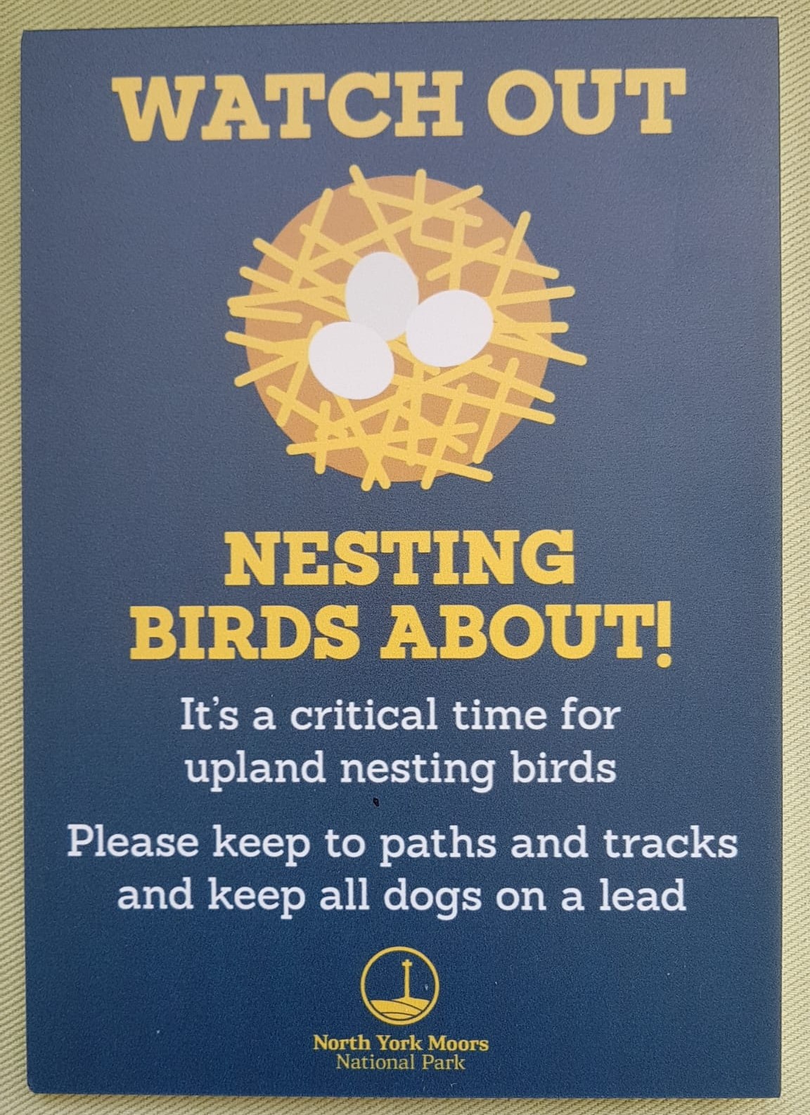 GROUND NESTING BIRDS - Cowbar Nature